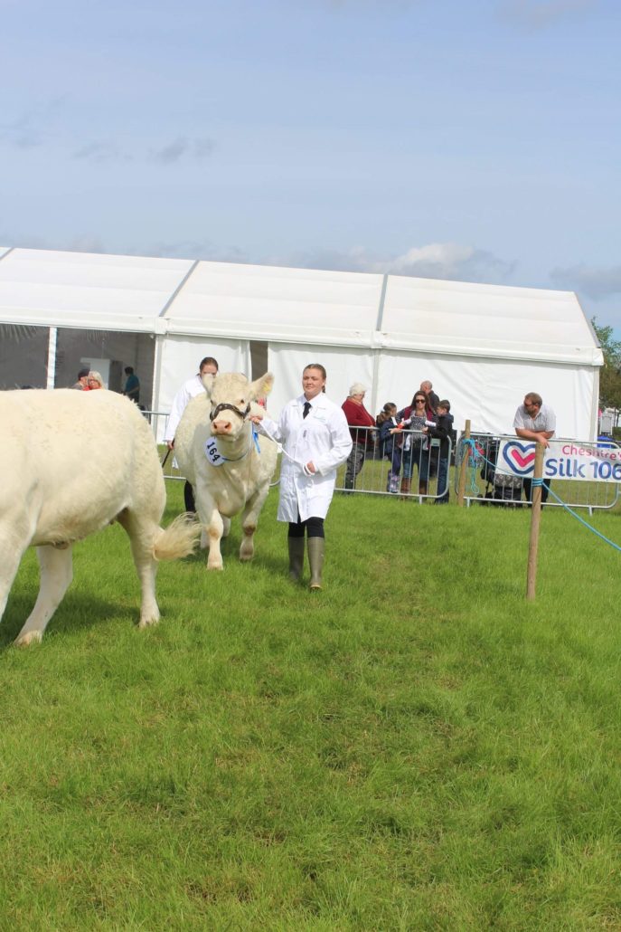 Cheshire Show 2019 (10) - Reaseheath College
