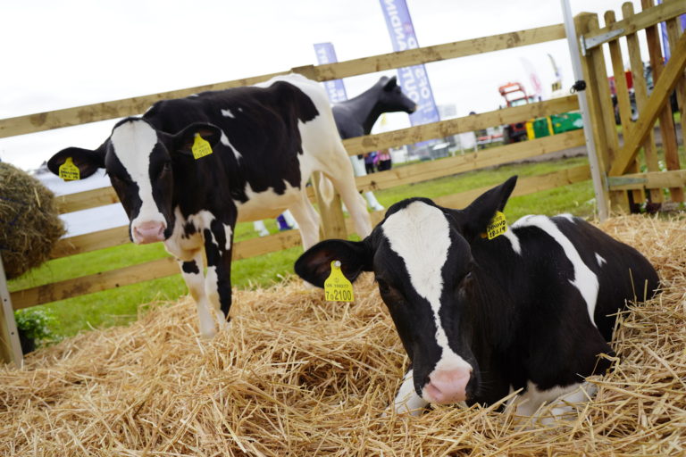 Cheshire Show 2019 (23) - Reaseheath College