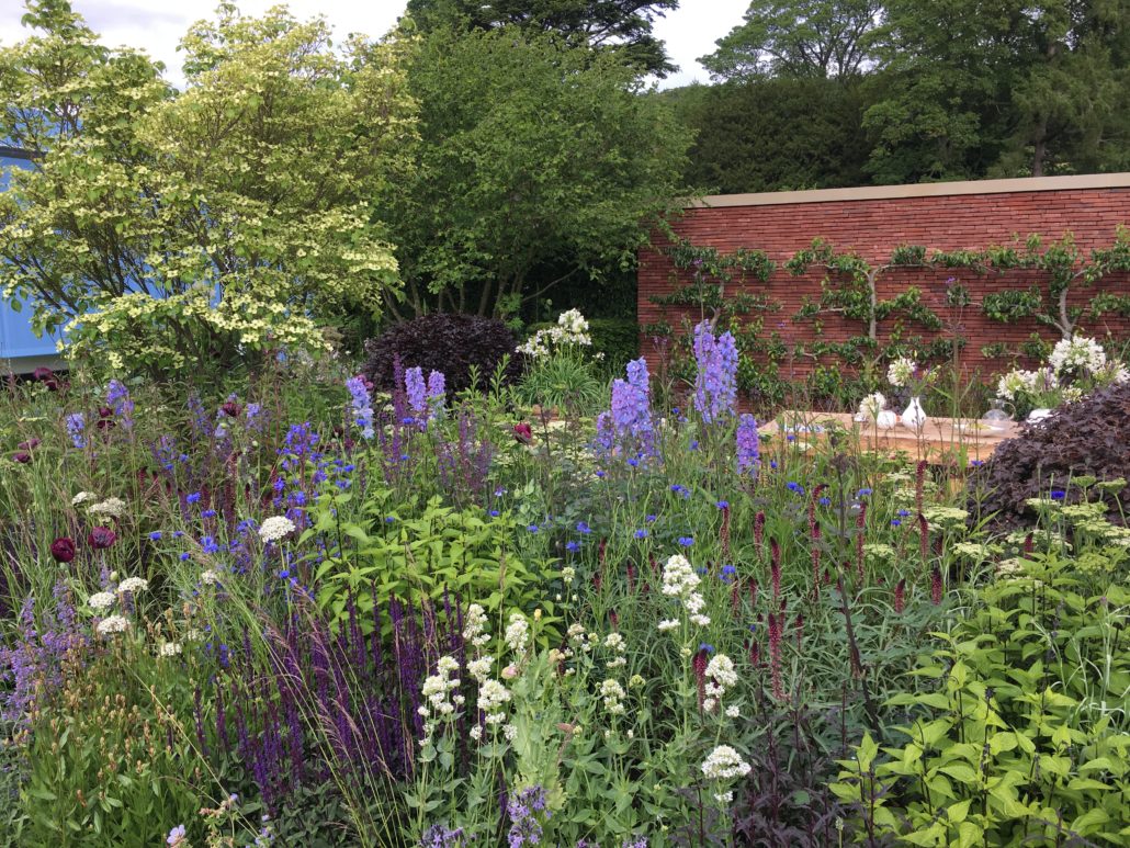 Horticulture students take a leaf from inspiring young garden designer - Reaseheath College