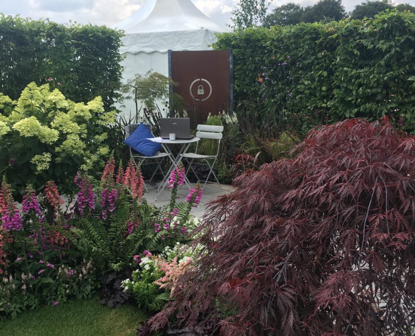 Cyber Crime garden sows the seeds of online safety - Reaseheath College