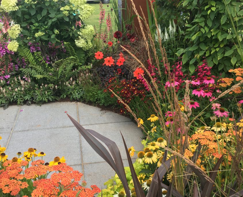 Cyber Crime garden sows the seeds of online safety - Reaseheath College