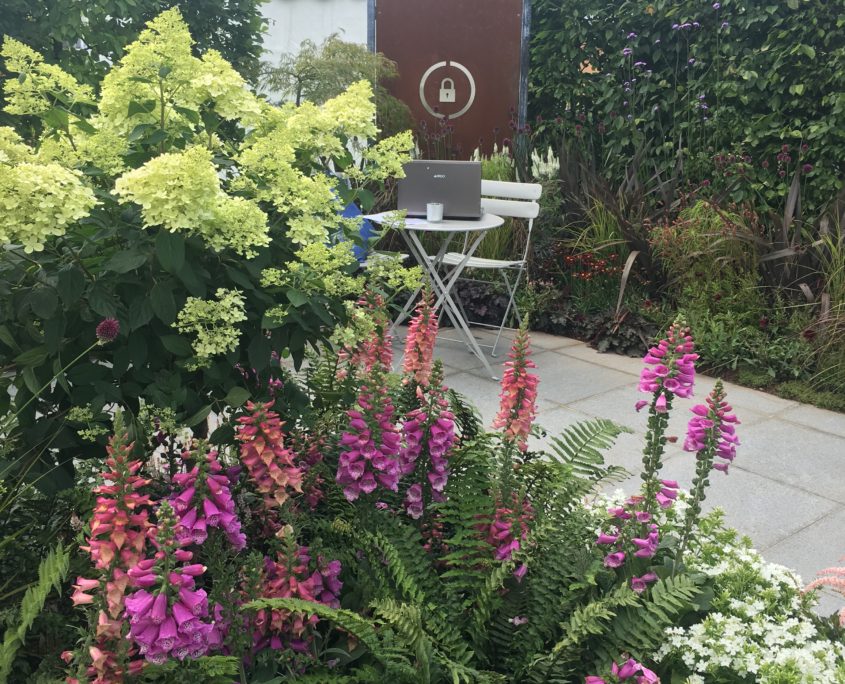 Cyber Crime garden sows the seeds of online safety - Reaseheath College