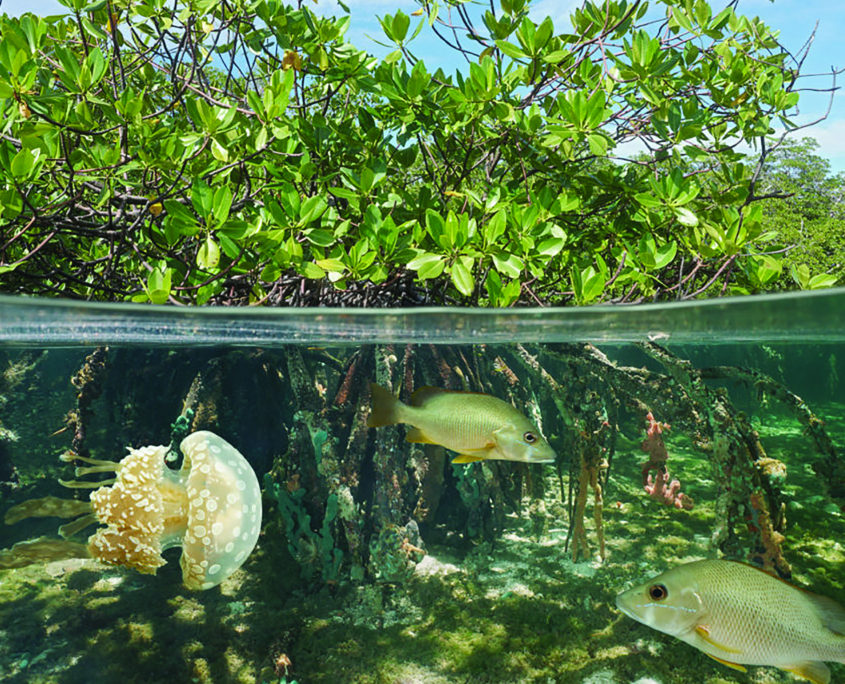 Courses available - Reaseheath College