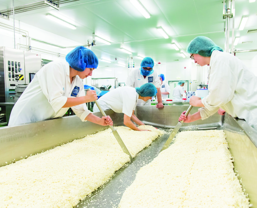 Food Courses for Adult Learners - Reaseheath College