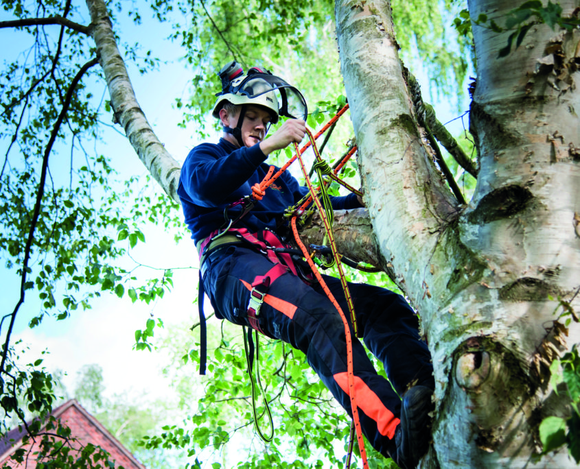 NPTC - Reaseheath College