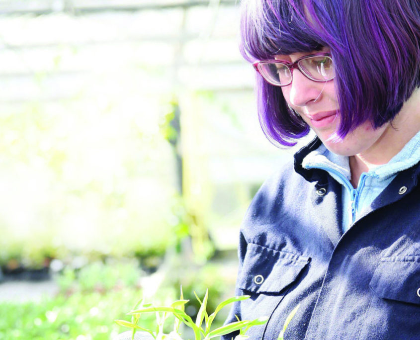 FE Subject Areas - Reaseheath College