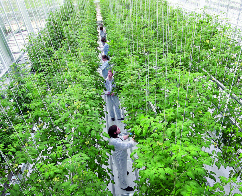 FE Subject Areas - Reaseheath College