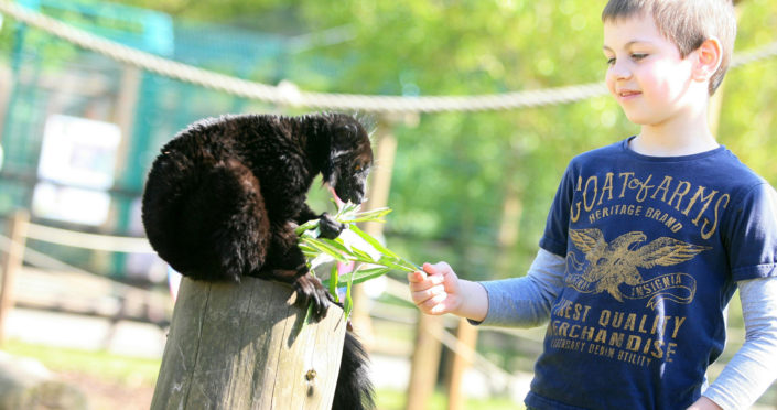 Reaseheath College | leading land-based college