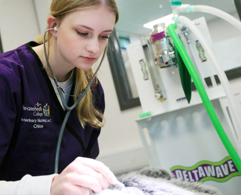 Courses available - Reaseheath College