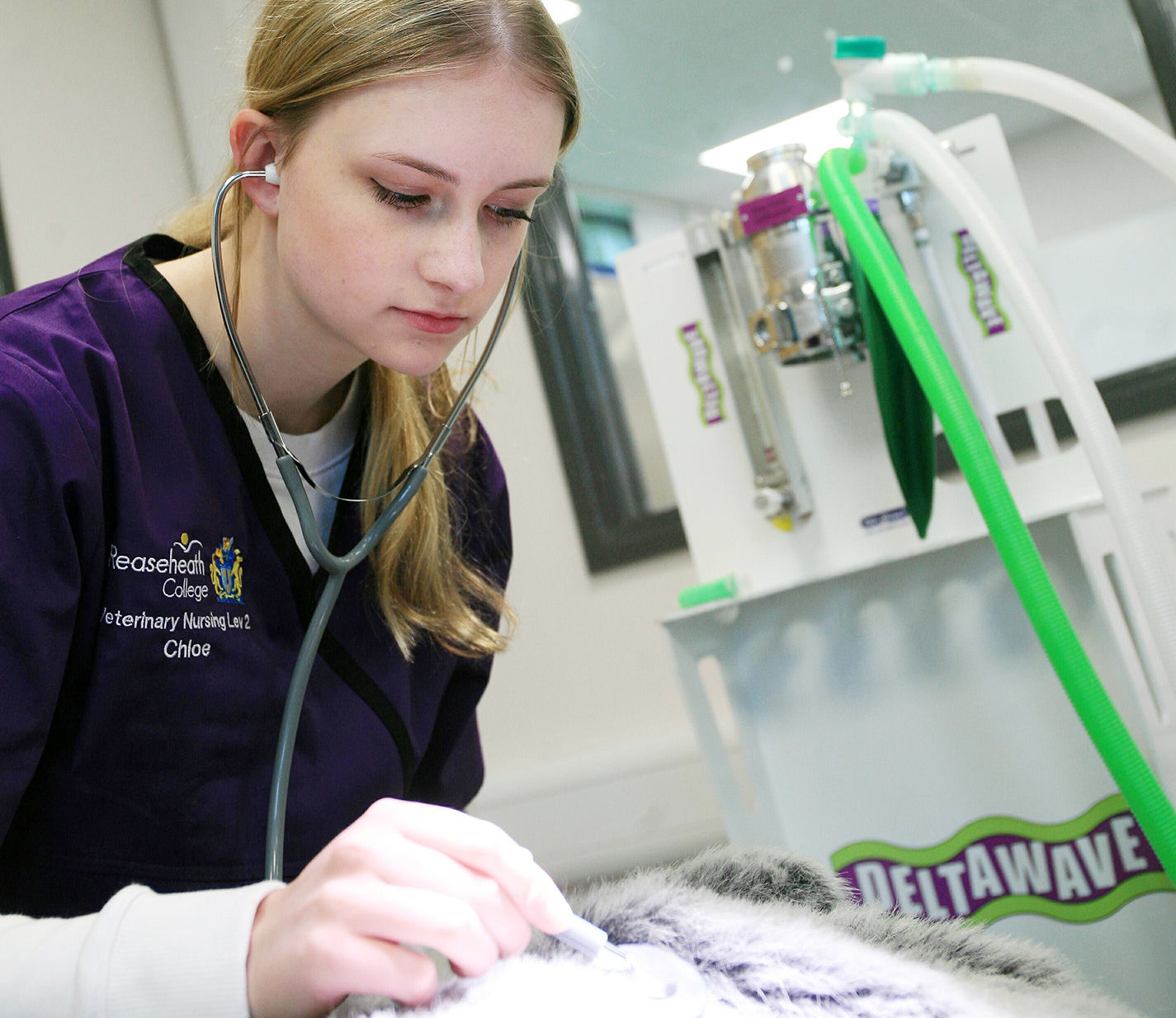 Veterinary Nursing Kit List - Reaseheath College