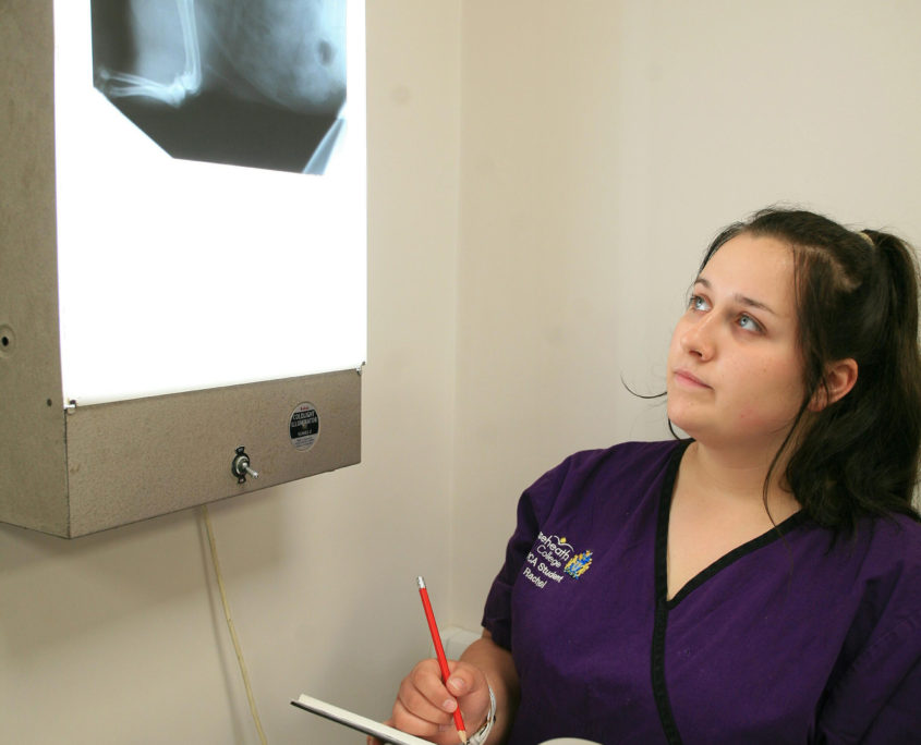 Adult Courses at Reaseheath - Reaseheath College