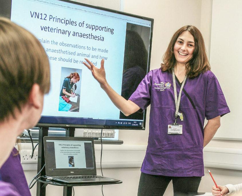 Veterinary Nursing - Reaseheath College