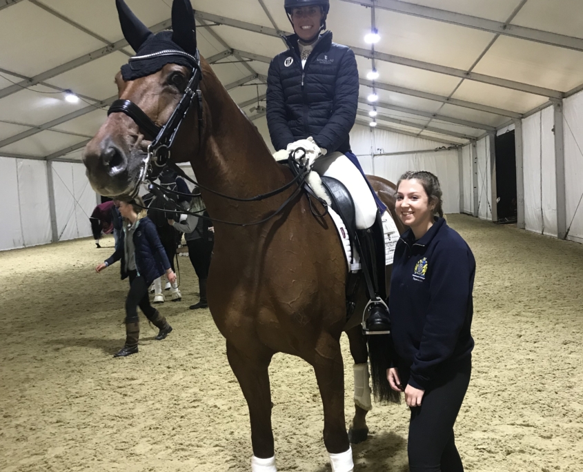 Outstanding HOYS experience for equine students - Reaseheath College
