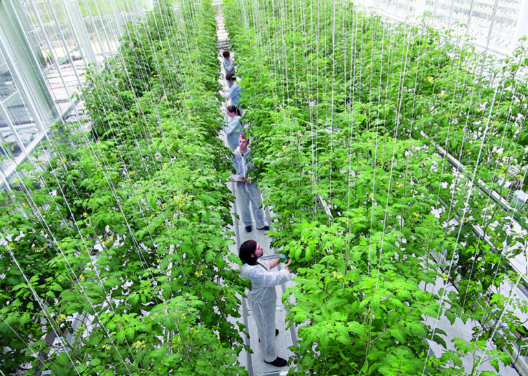 Horticulture and Landscape Kit List - Reaseheath College