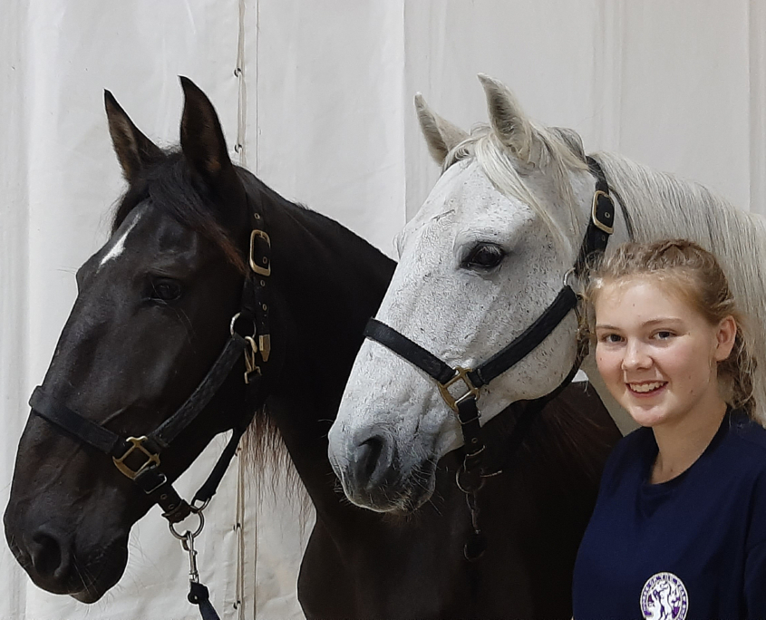Outstanding HOYS experience for equine students - Reaseheath College