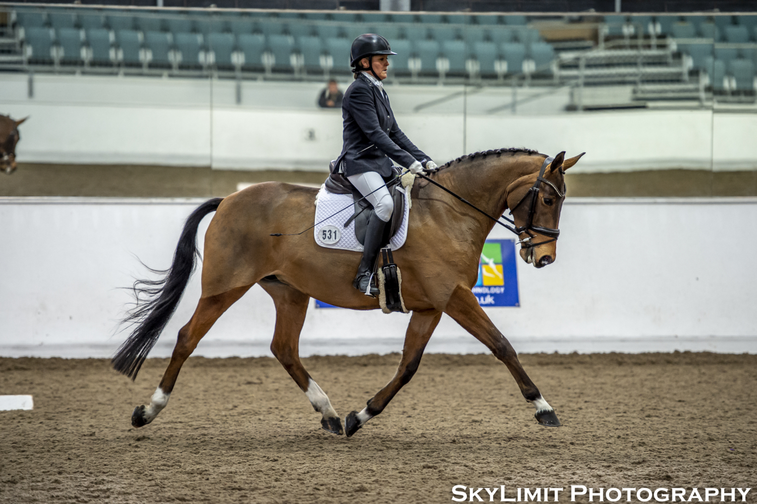 Dressage 02.11.19 - Reaseheath College