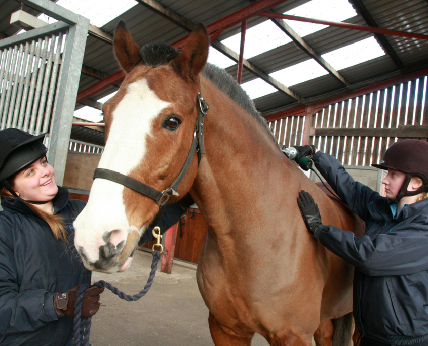 Equine short courses - Reaseheath College
