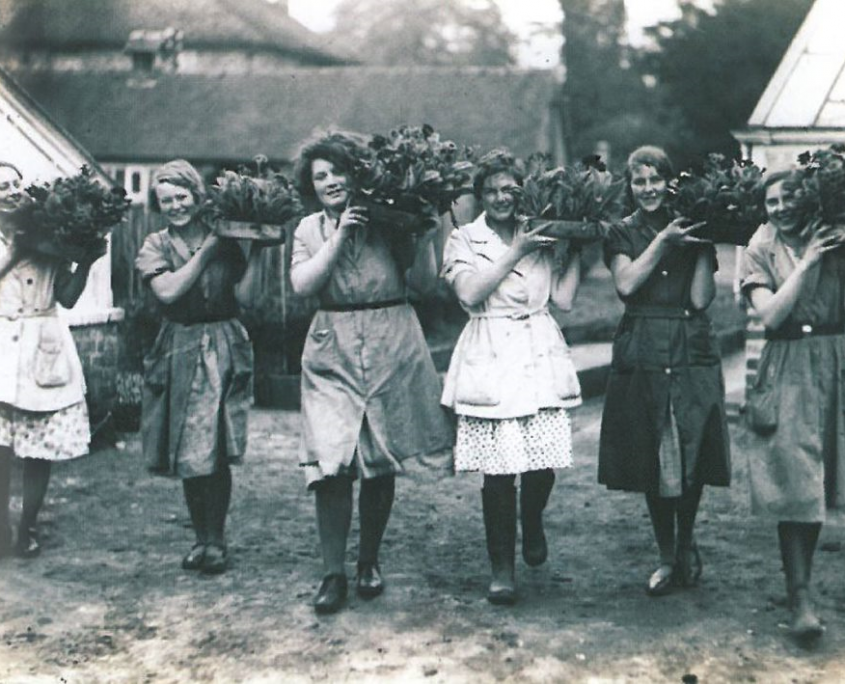 Reaseheath College recalls land girl training in VE Day celebration - Reaseheath College