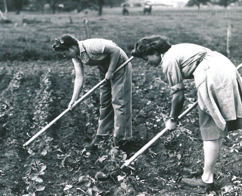 Reaseheath College recalls land girl training in VE Day celebration - Reaseheath College