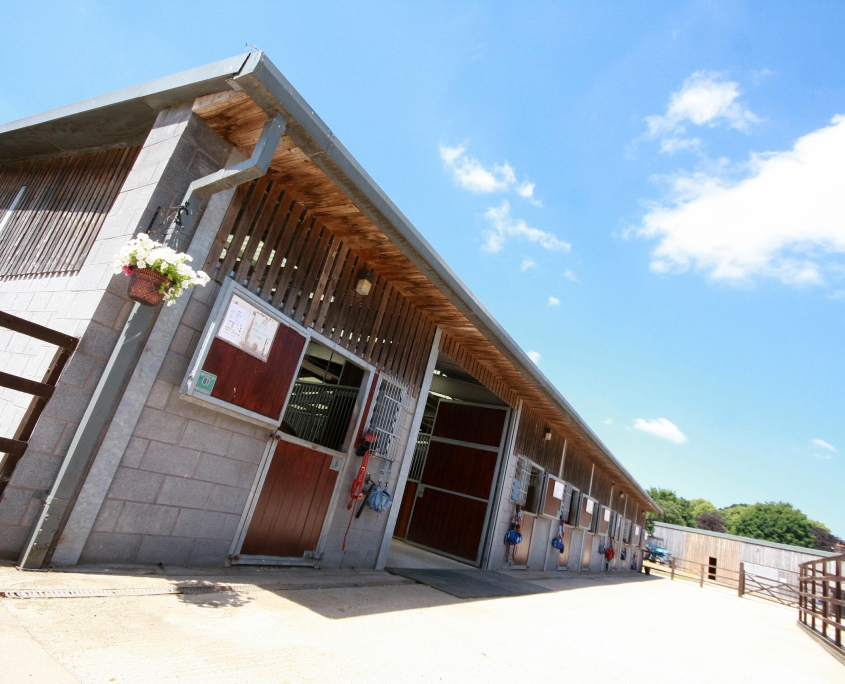 Equine short courses - Reaseheath College