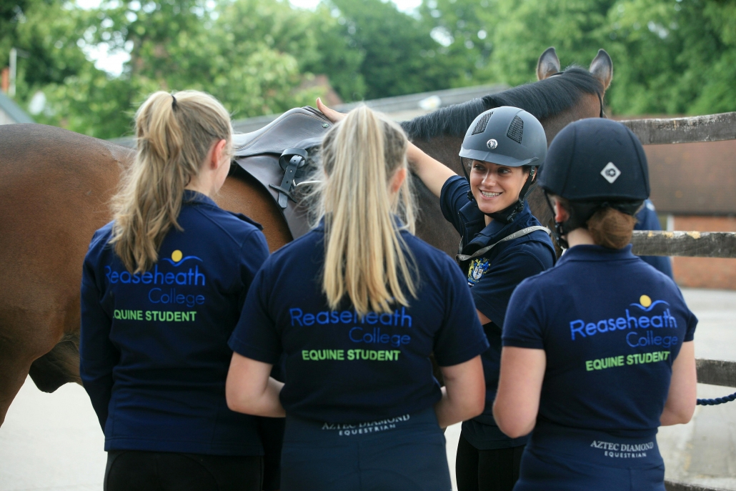Equine livery - benefits - Reaseheath College