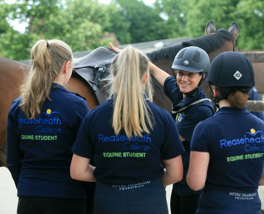 Equine short courses - Reaseheath College