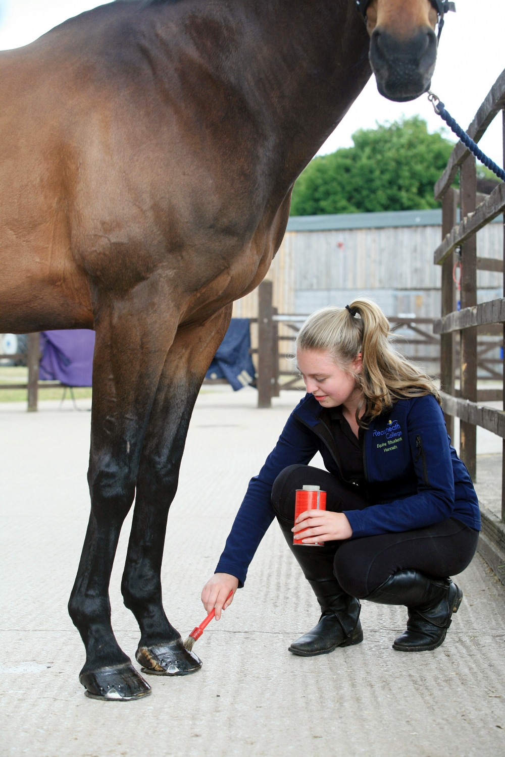 Equine livery - packages - Reaseheath College