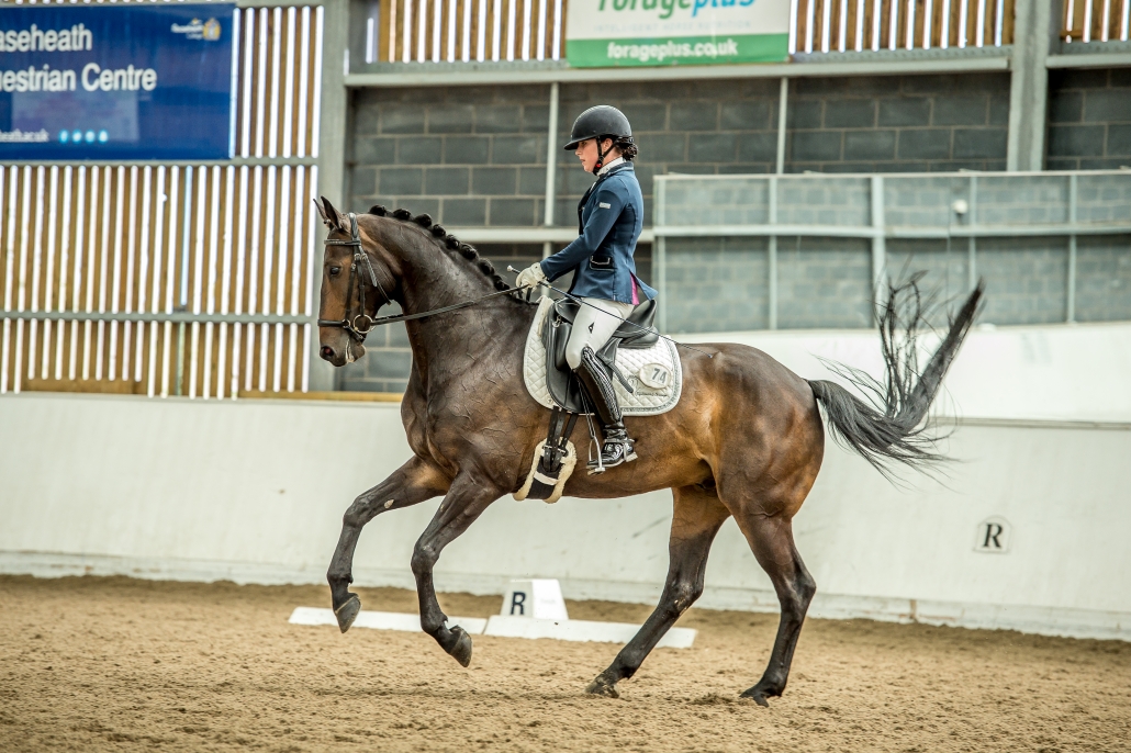 Dressage 1 - Reaseheath College