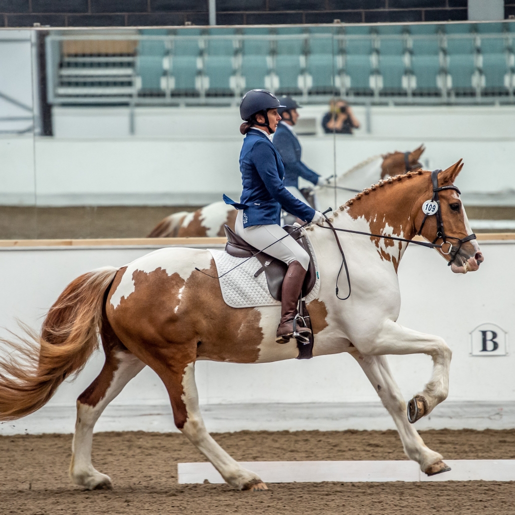 Reaseheath Equestrian Centre Competitions and Events - Reaseheath College