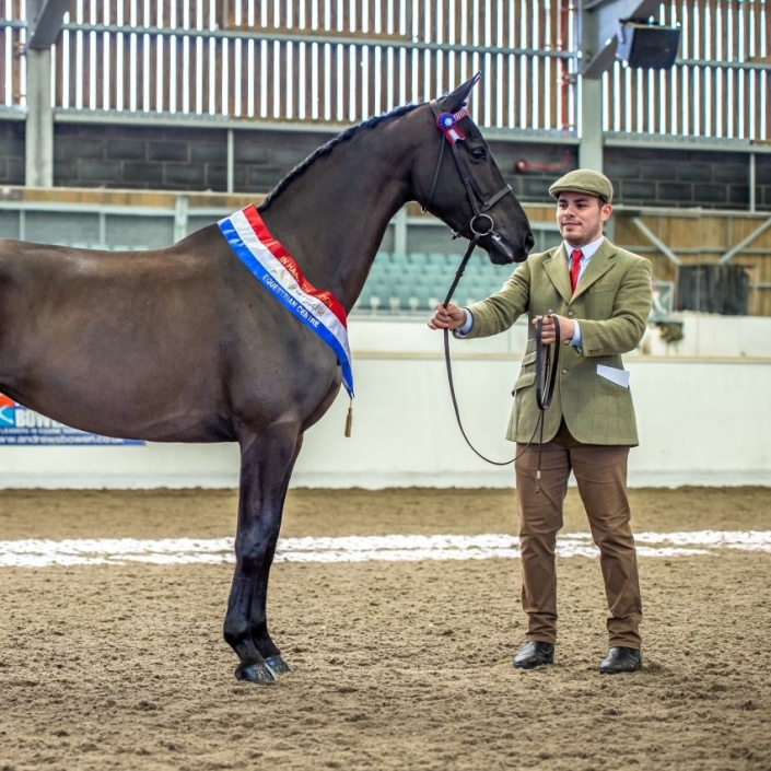 Reaseheath Equestrian Centre Competitions and Events - Reaseheath College
