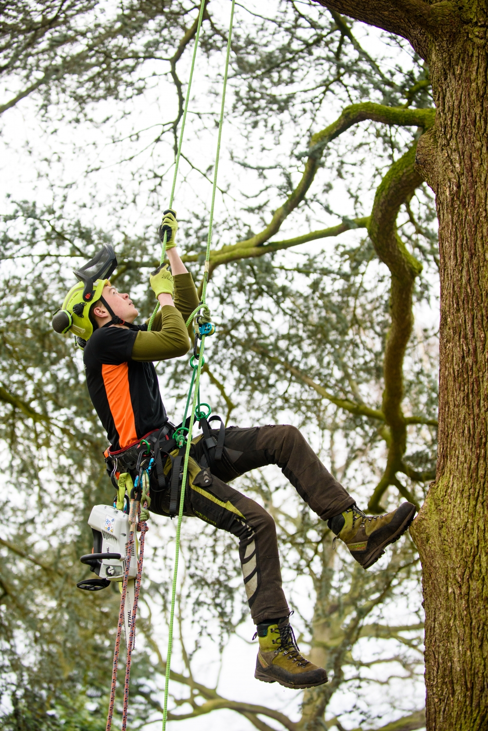 Forestry lead image Oct 2020 - Reaseheath College