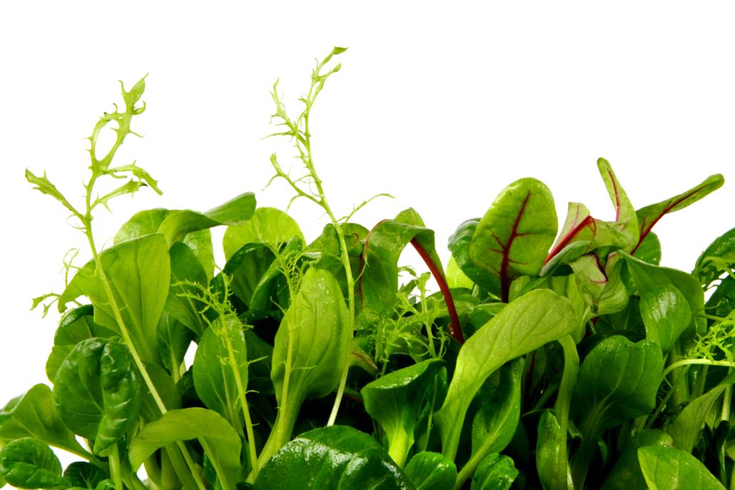 Vertical farming centre will showcase technological innovation - Reaseheath College