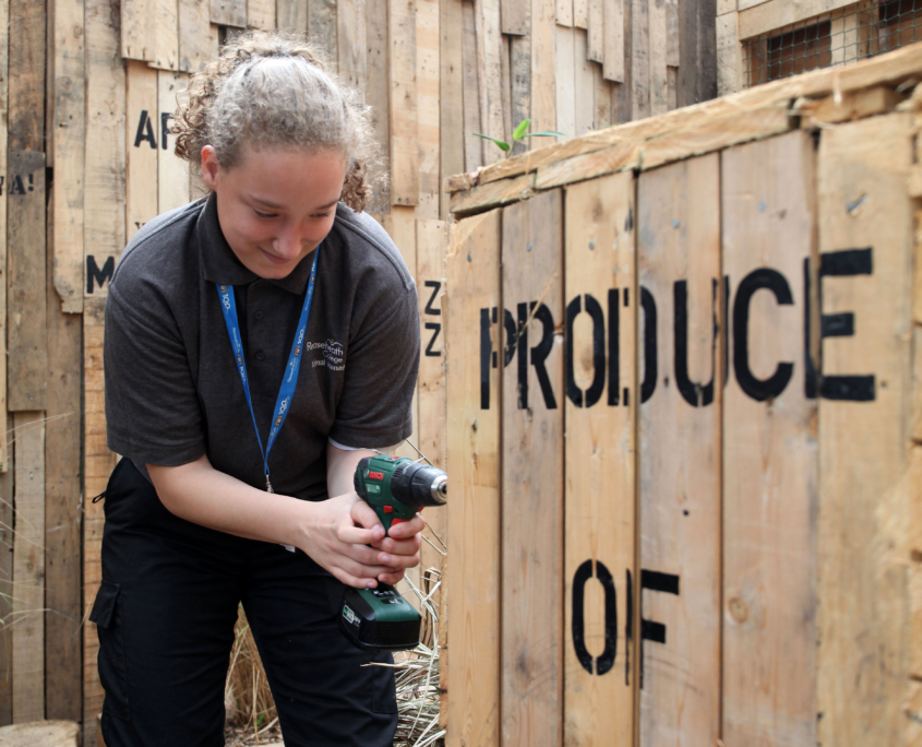Students build stylish accommodation for mongooses - Reaseheath College