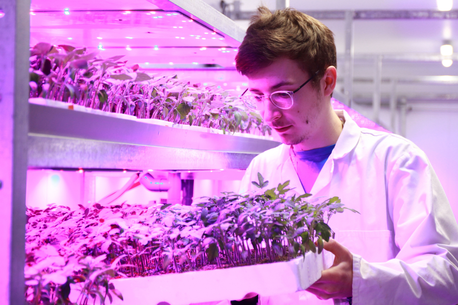 Leading Edge - Reaseheath College