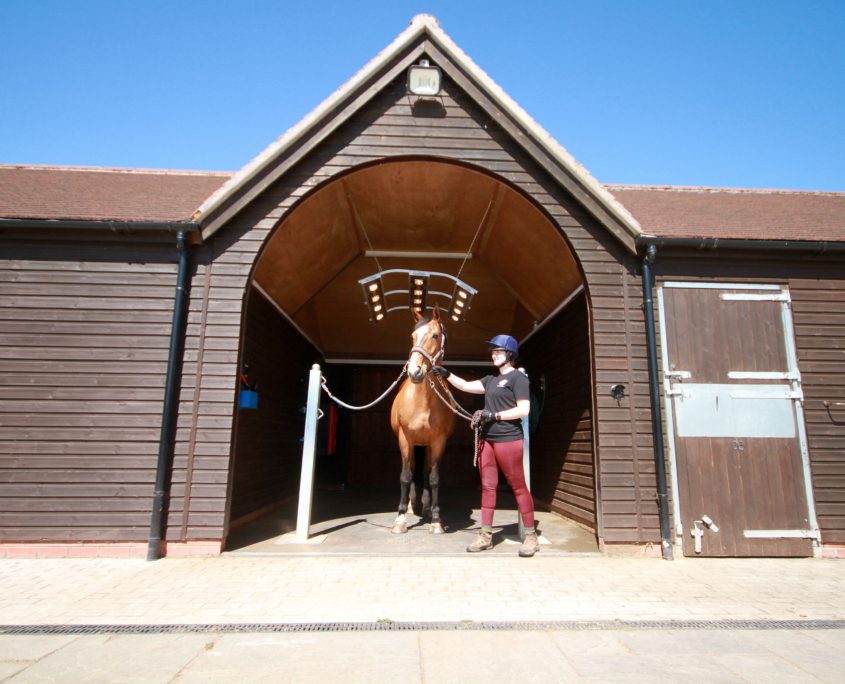 Unique equine hydrotherapy course from Reaseheath College and Rookery Equine - Reaseheath College