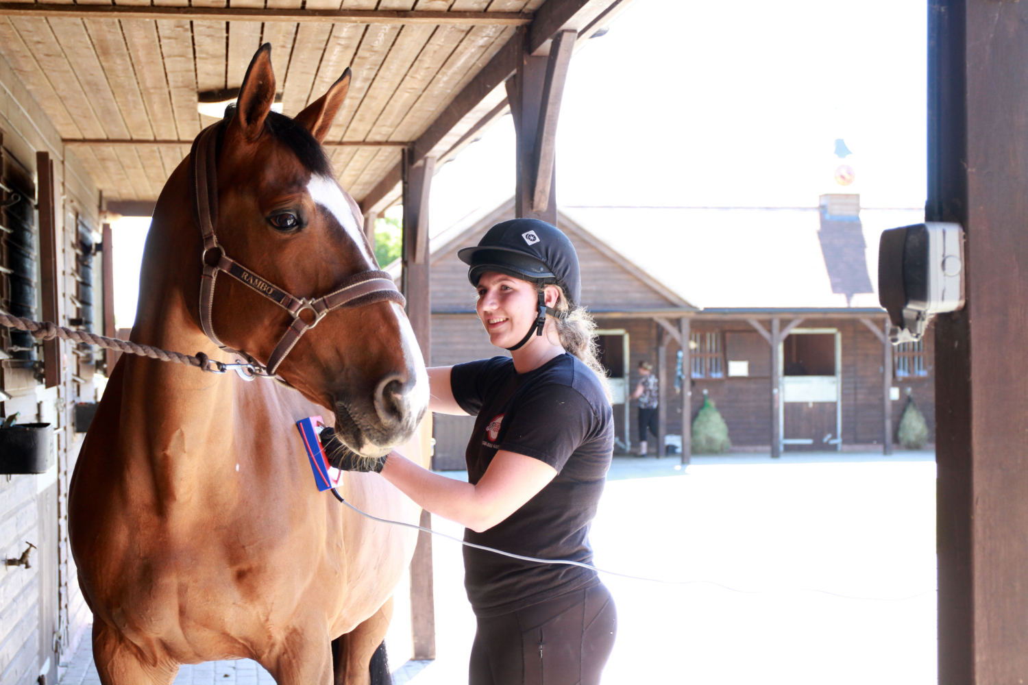 Rookery Equine & Reaseheath College Equine - Reaseheath College