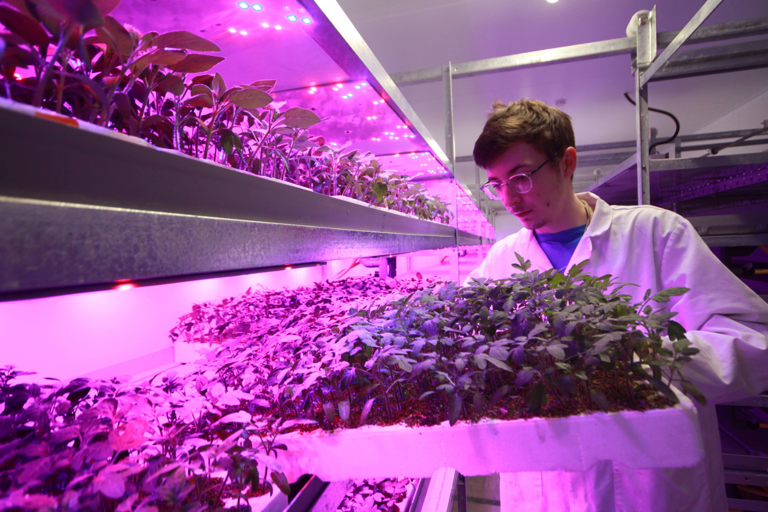 Campus Investment - Reaseheath College