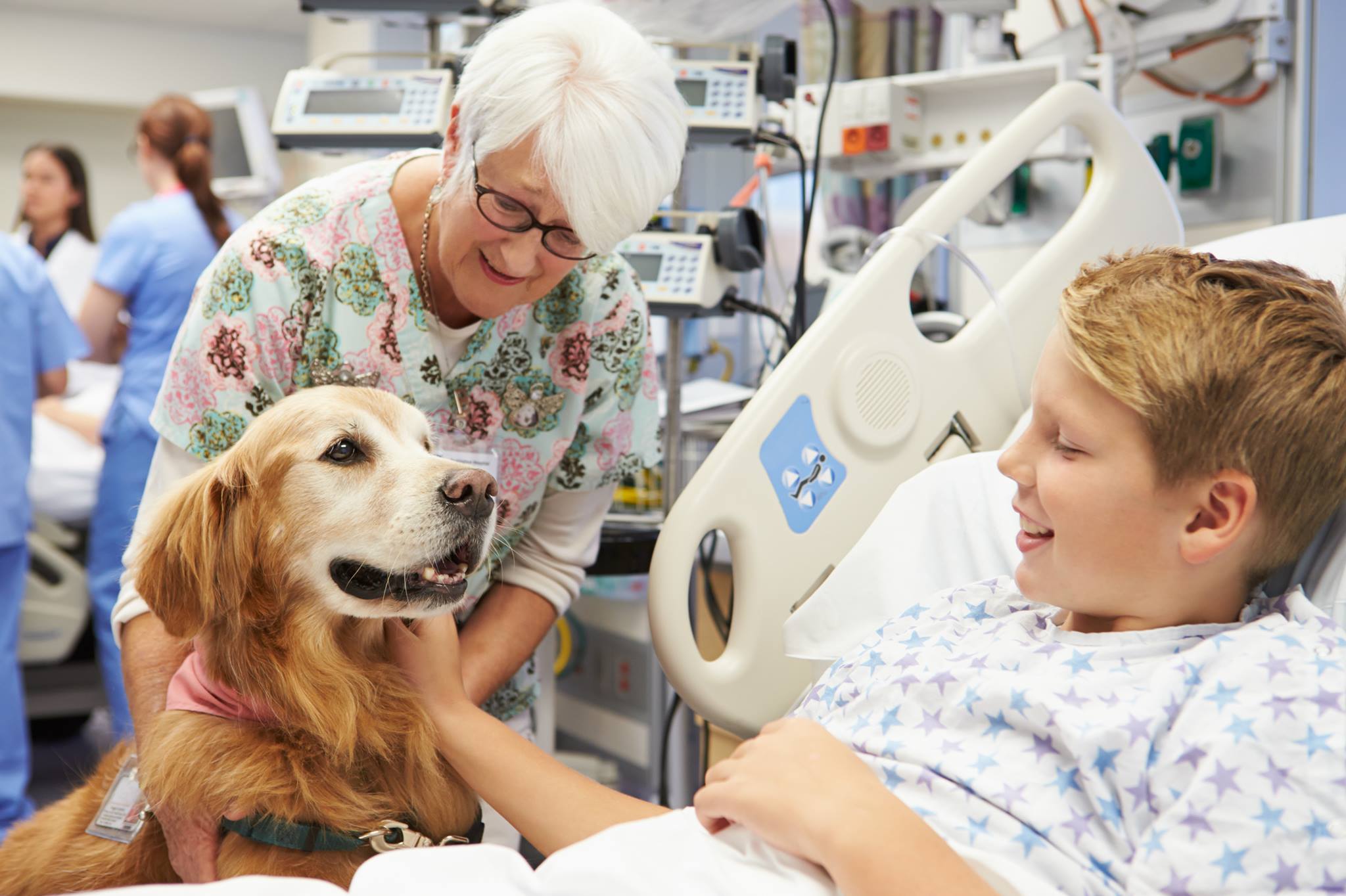 Animal assisted interventions - Reaseheath College