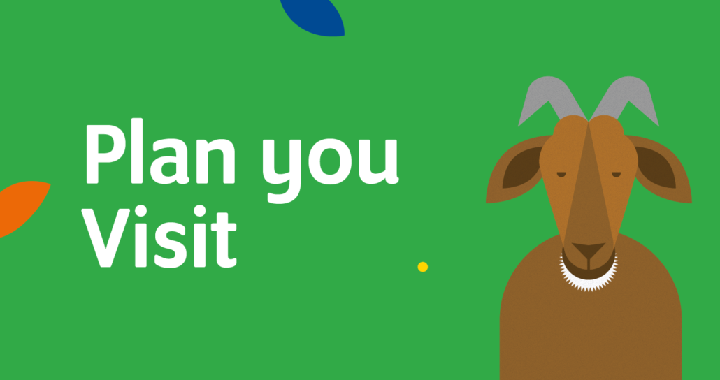 Mini Zoo website buttons5 - Reaseheath College