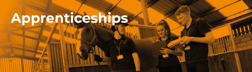 Apprenticeships website banner - Reaseheath College