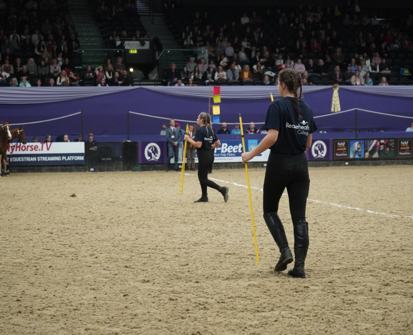 Arena party praised for HOYS support - Reaseheath College