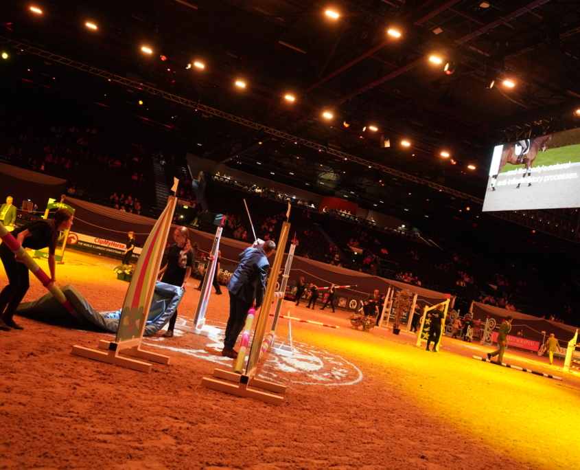 Arena party praised for HOYS support - Reaseheath College