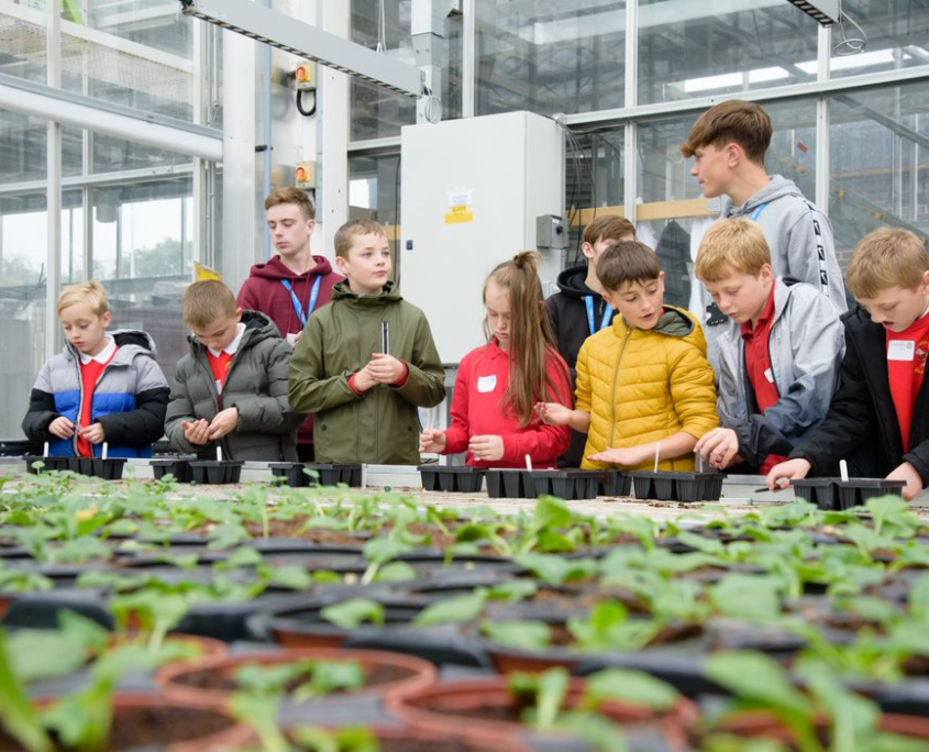 Reaseheath College provides ‘field to fork’ experience for local school pupils - Reaseheath College