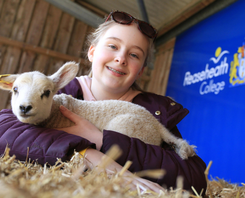 Families expected to flock to Reaseheath’s lambing weekends - Reaseheath College