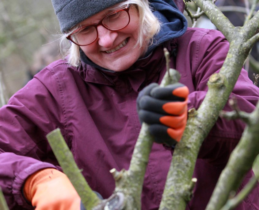 Reaseheath students and volunteers prepare community orchard for spring - Reaseheath College