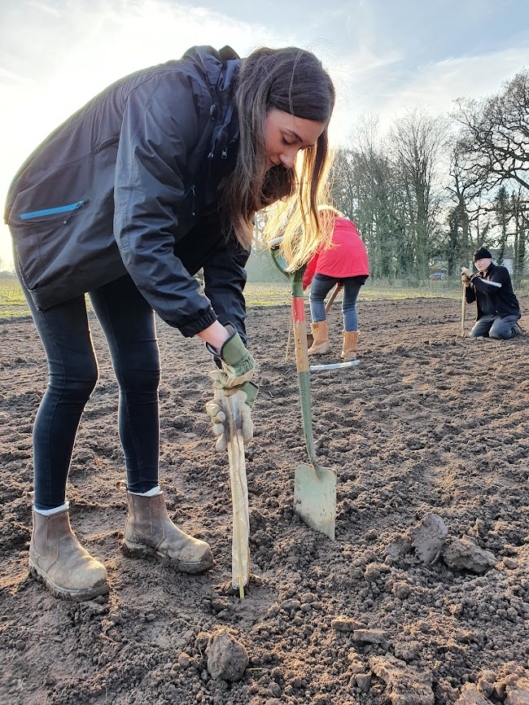 Centenary Wood 7 Reaseheath College