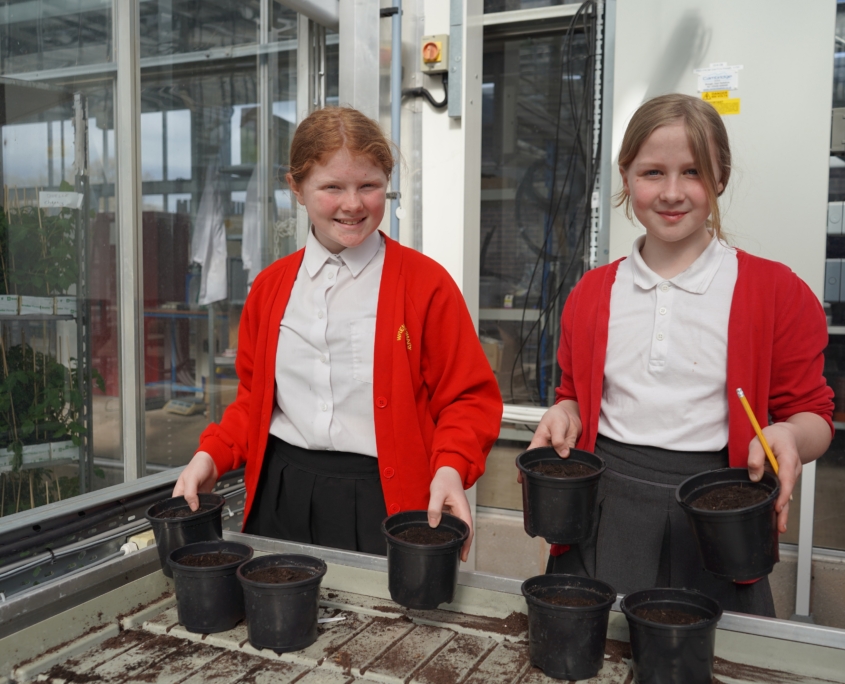 Pupils create second healthy ‘Field to Fork’ meal - Reaseheath College