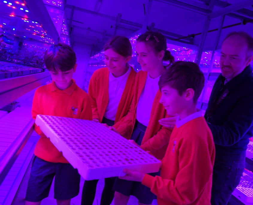 Pupils create second healthy ‘Field to Fork’ meal - Reaseheath College