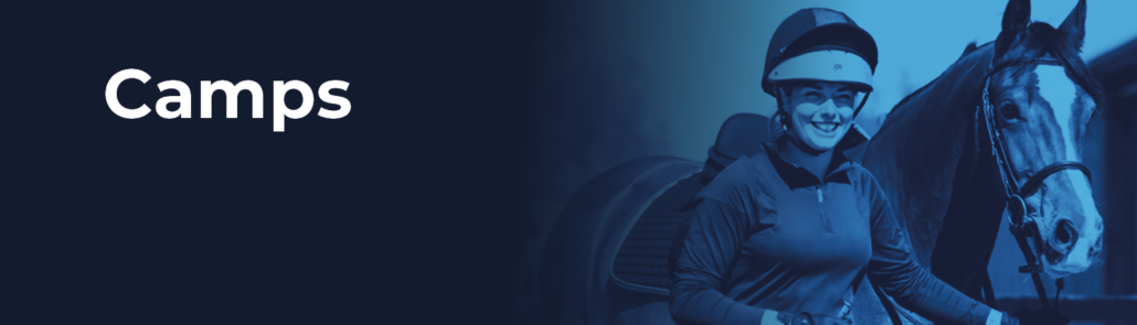 11 Equine landing images - Reaseheath College