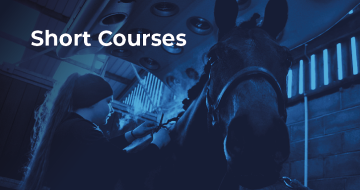 Reaseheath Equestrian Centre - Reaseheath College